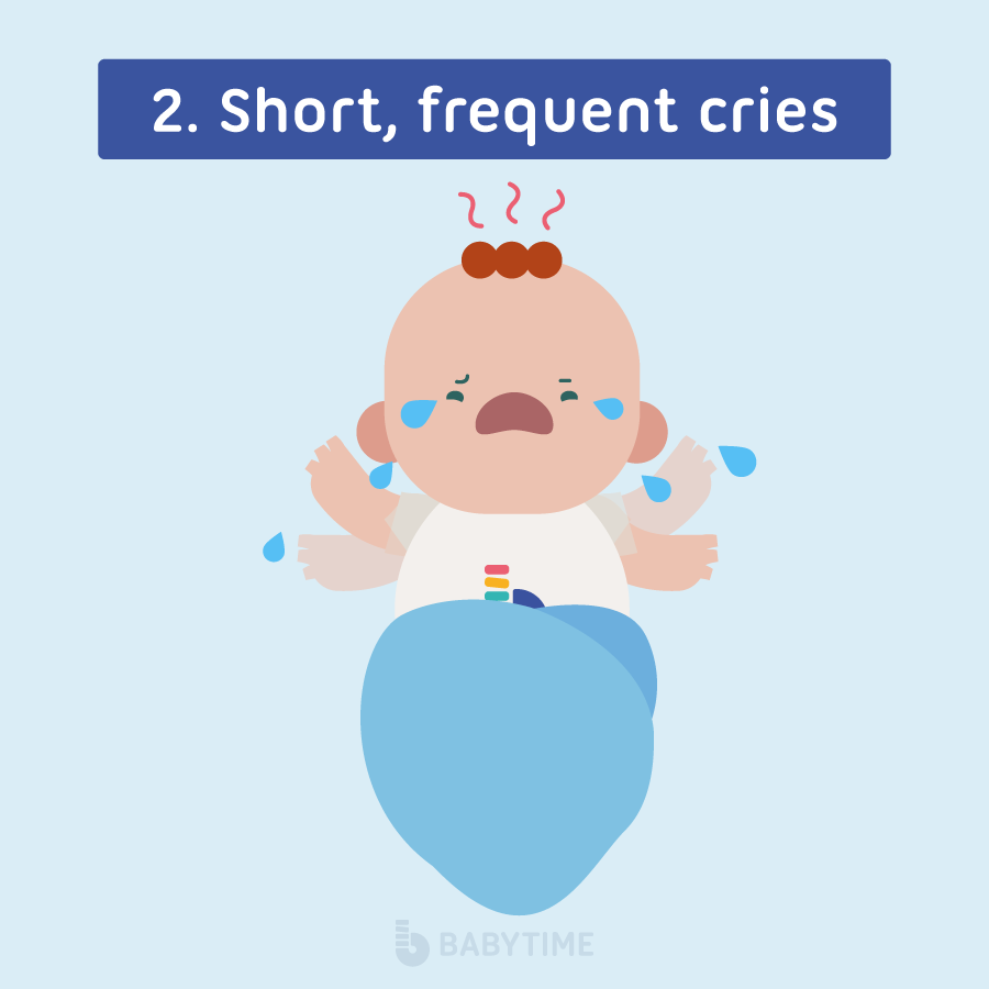 13 Baby Facts You Need to Know – BabyTime