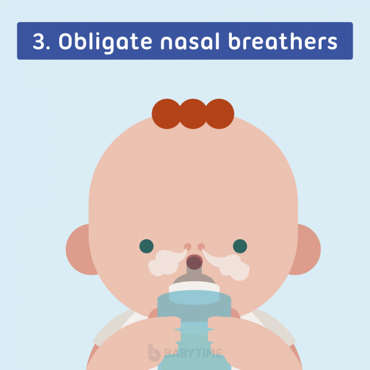 13 Baby Facts You Need to Know – BabyTime